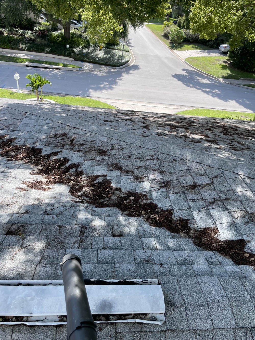 Roof Blow-Off in St. Pete Leads to Future Roof Soft Wash 🧼🏡 | Diamond Pressure Washing Bros LLC