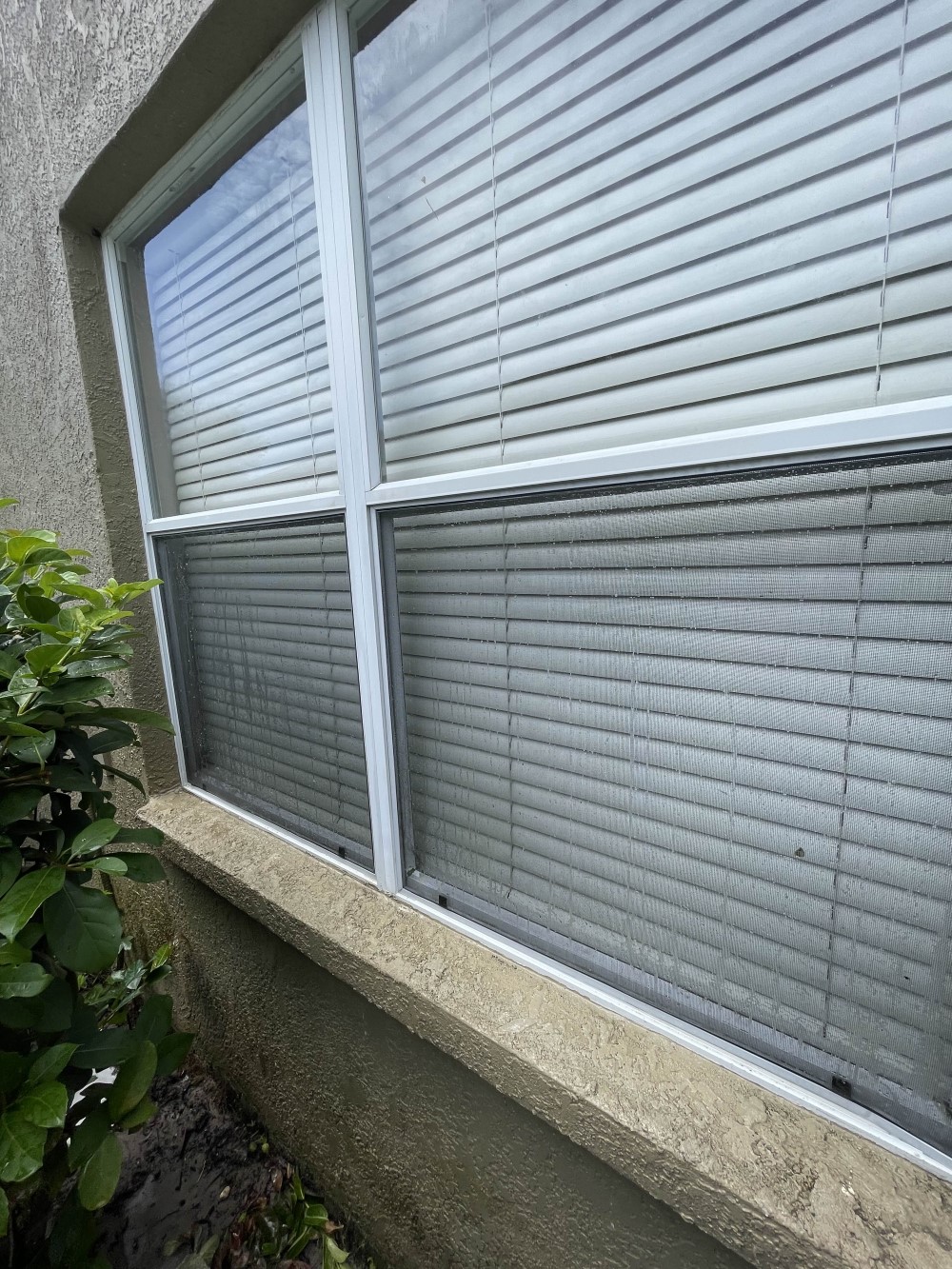 Window Washing Service in Chavel, Tampa, FL — Crystal Clear Views for Your Home | Diamond ...