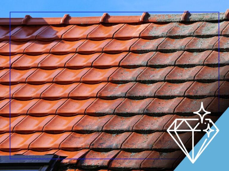 The Science Behind Soft Washing and Its Benefits for Roofs in Tampa ...