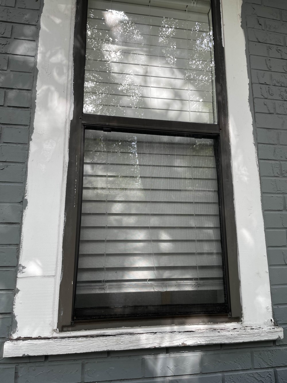 Window Cleaning in South Tampa, FL – Crystal Clear Views for Homes and Businesses | Diamond ...